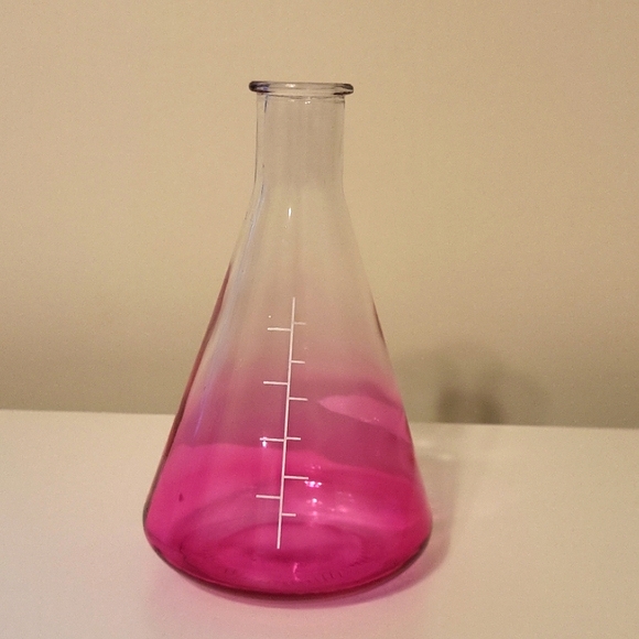 Holiday | New Beaker Halloween Vase Laboratory Glass Decoration | Poshmark